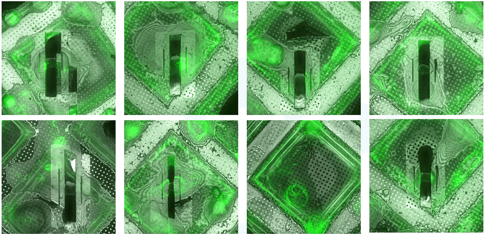 IMAGINE – Developing the next generation of imaging technologies - RFI