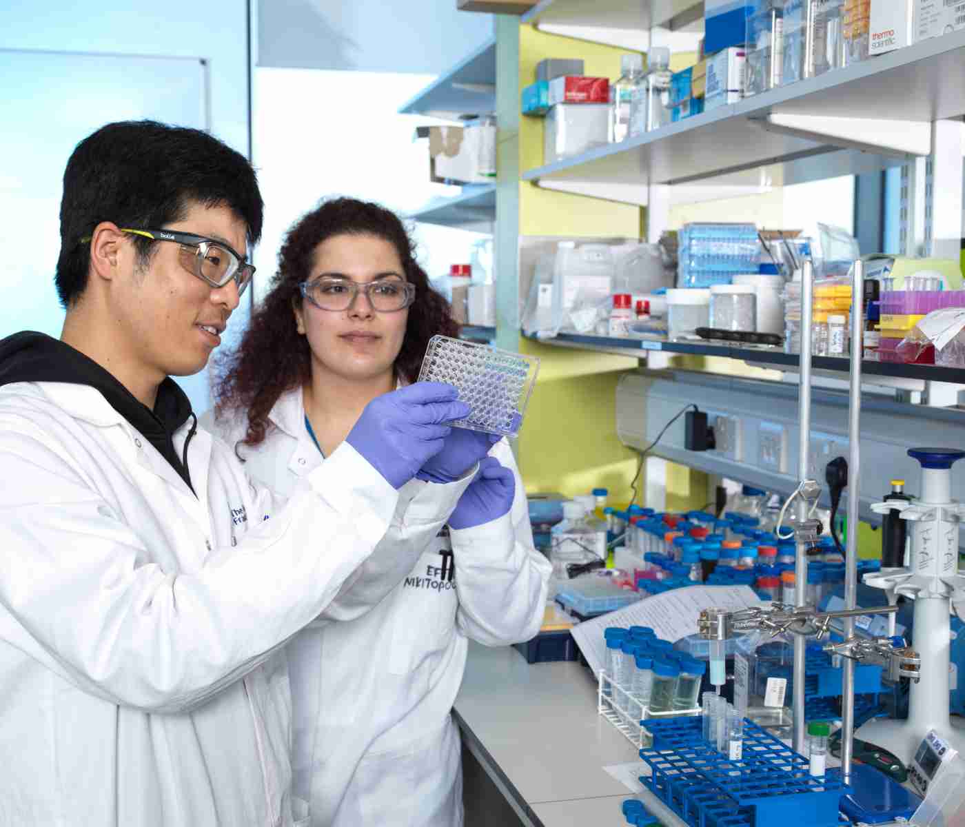 Exploration of unwanted immune response to penicillin lays groundwork ...