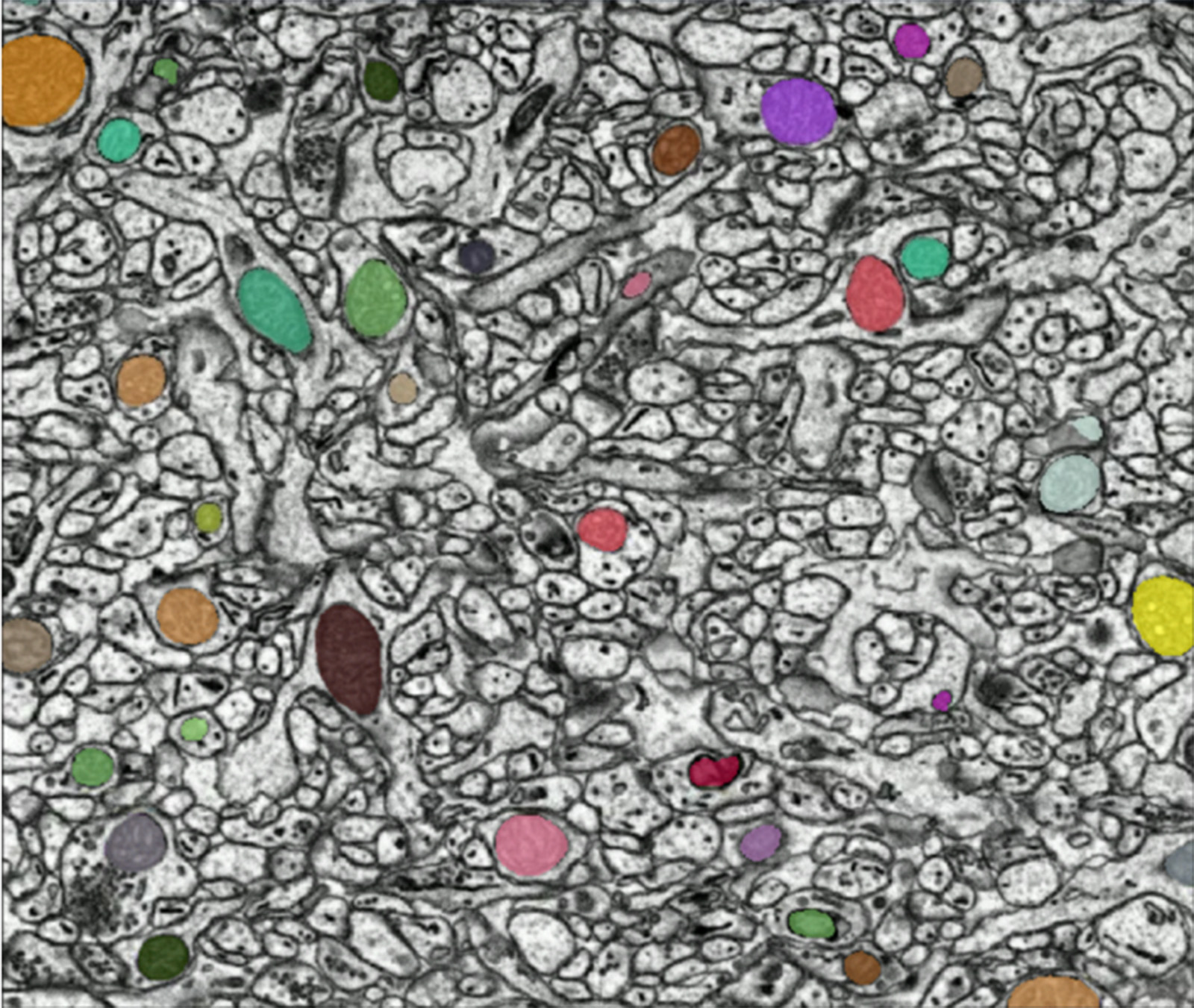 Citizen Science - RFI