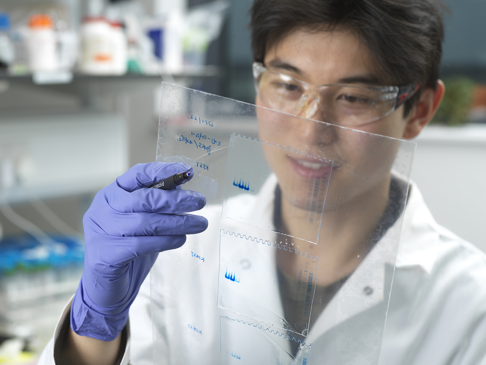 Strategic labelling approaches to understand proteins in action - RFI